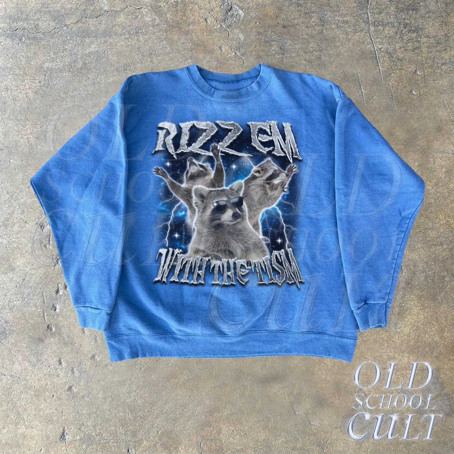 Rizz Em With the Tism Raccoon Vintage Graphic Sweatshirt, Retro 90s ...