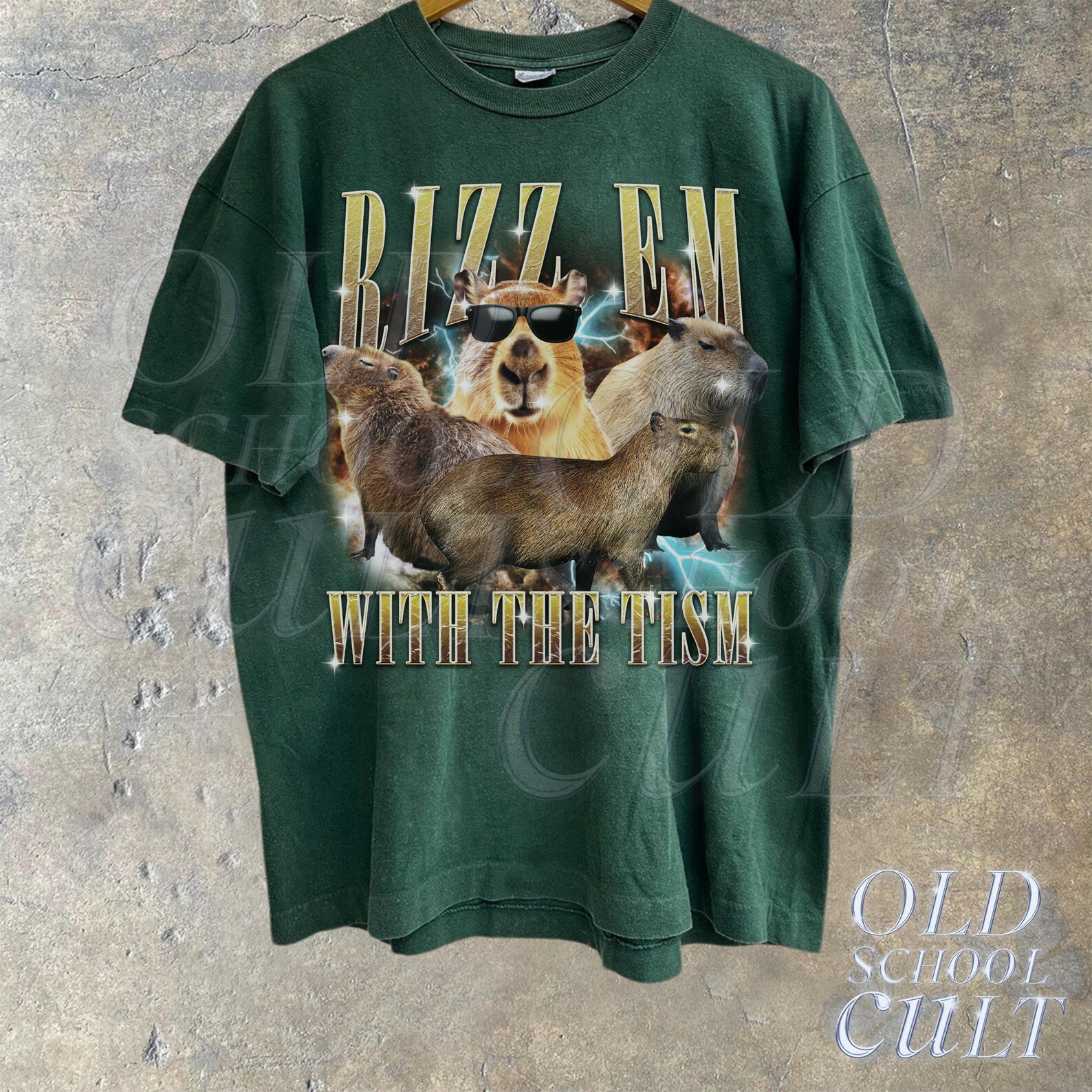 Rizz Em With the Tism Vintage Graphic Shirt, Retro 90s Funny Capybara ...
