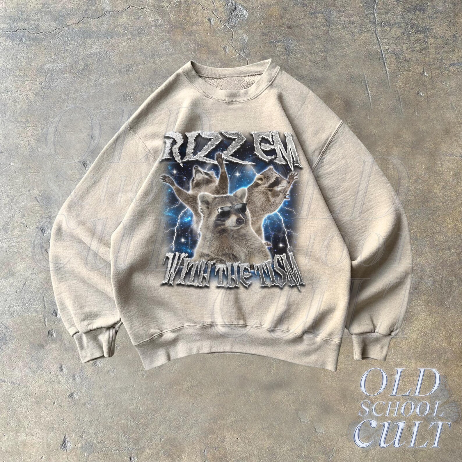 Rizz Em With the Tism Raccoon Vintage Graphic Sweatshirt, Retro 90s ...