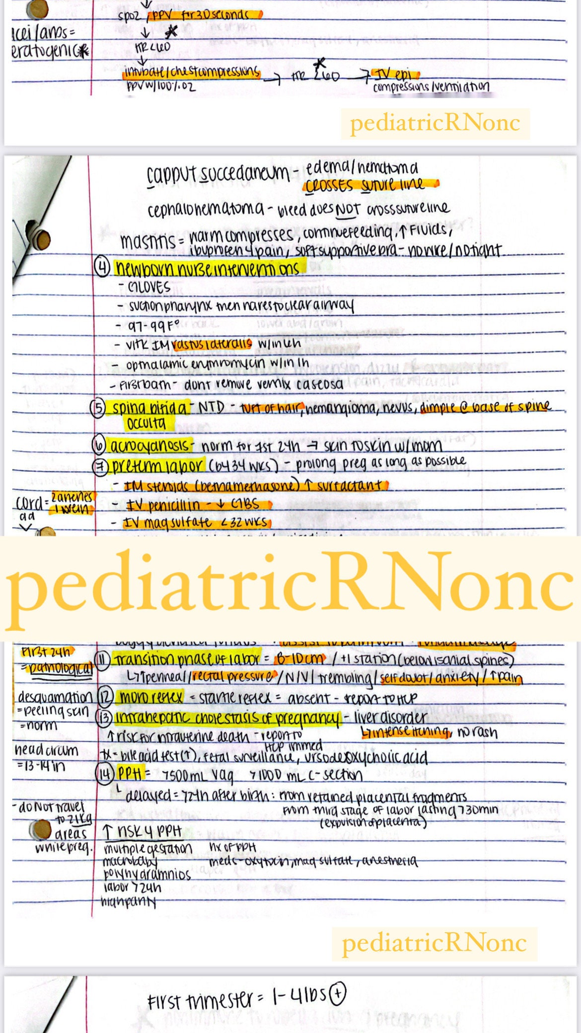 Maternal & Newborn Uworld Notes Bundle - Etsy