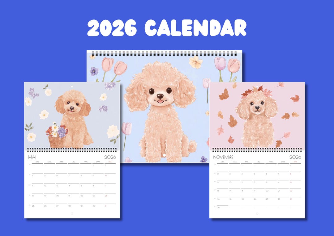 2026 Cute Poodle Wall Calendar | Poodle Calendar 2026 Cute Dog Wall ...