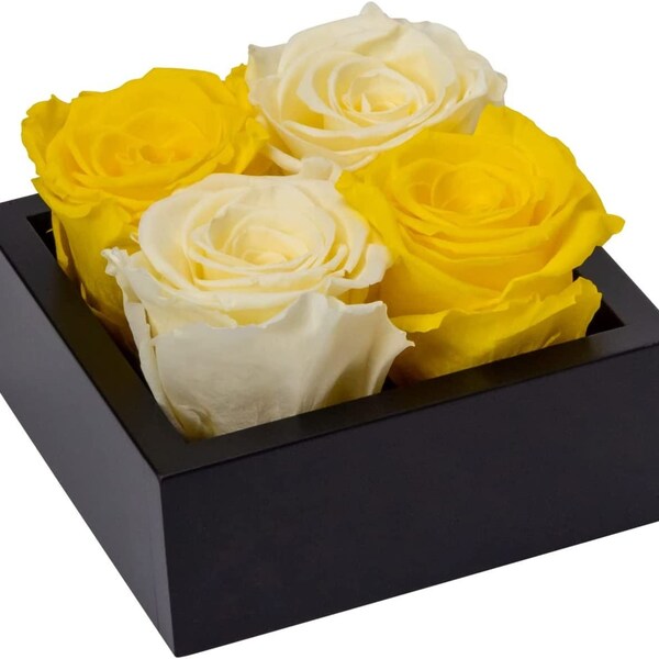 Preserved Flowers - Etsy