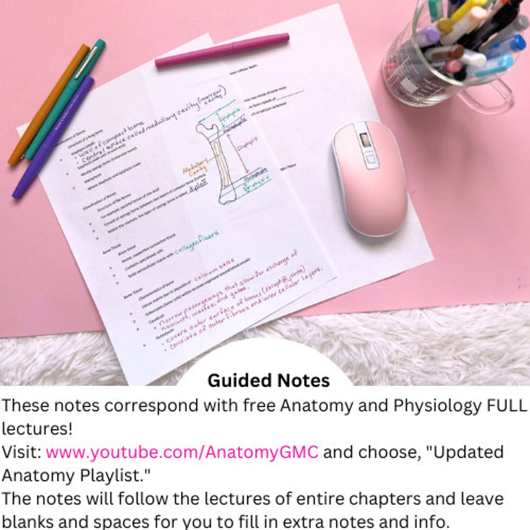 Appendicular Skeleton Chapter 8 Anatomy and Physiology Guided Notes - Etsy