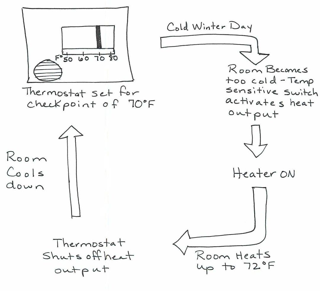 Homeostasis and Negative Vs Positive Feedback - Etsy