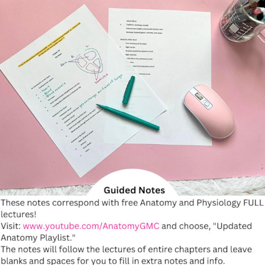 Endocrine System Chapter 18 Anatomy and Physiology Guided Notes - Etsy