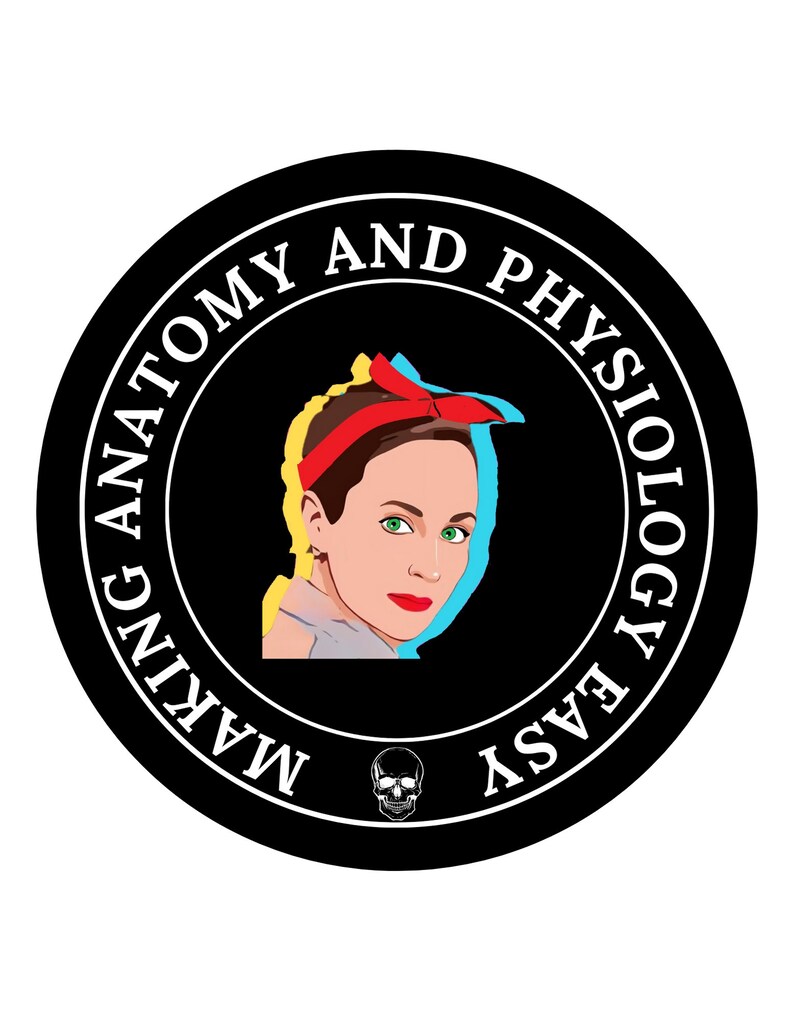 Osseous Tissue Chapter 6 Anatomy And Physiology Guided Notes Etsy