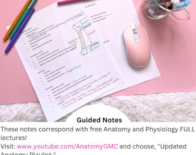 Muscle Tissue Chapter 10 Anatomy and Physiology Guided Notes - Etsy