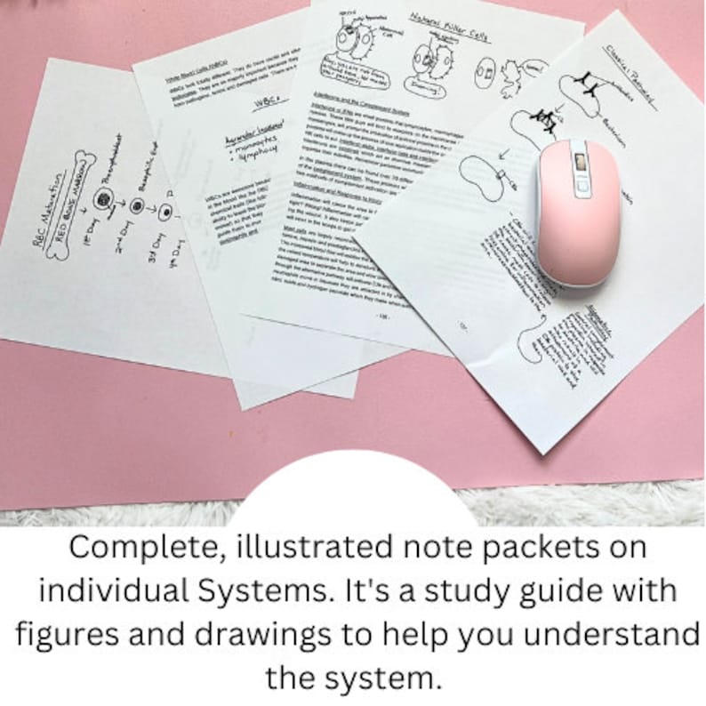 Lymphatic System Packet Anatomy and Physiology - Etsy