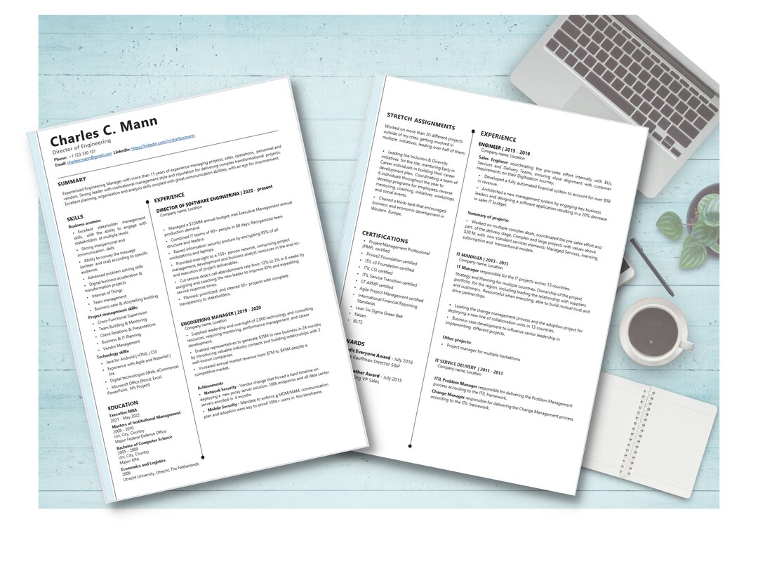 C Level Executive Resume, Director Resume, IT Manager Resume, Developer ...