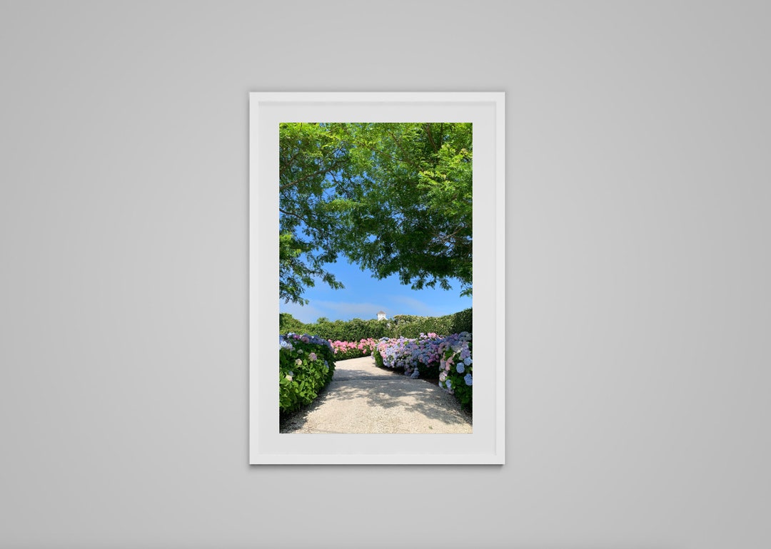 Hydrangea Driveway Print Nantucket Island Photo - Etsy