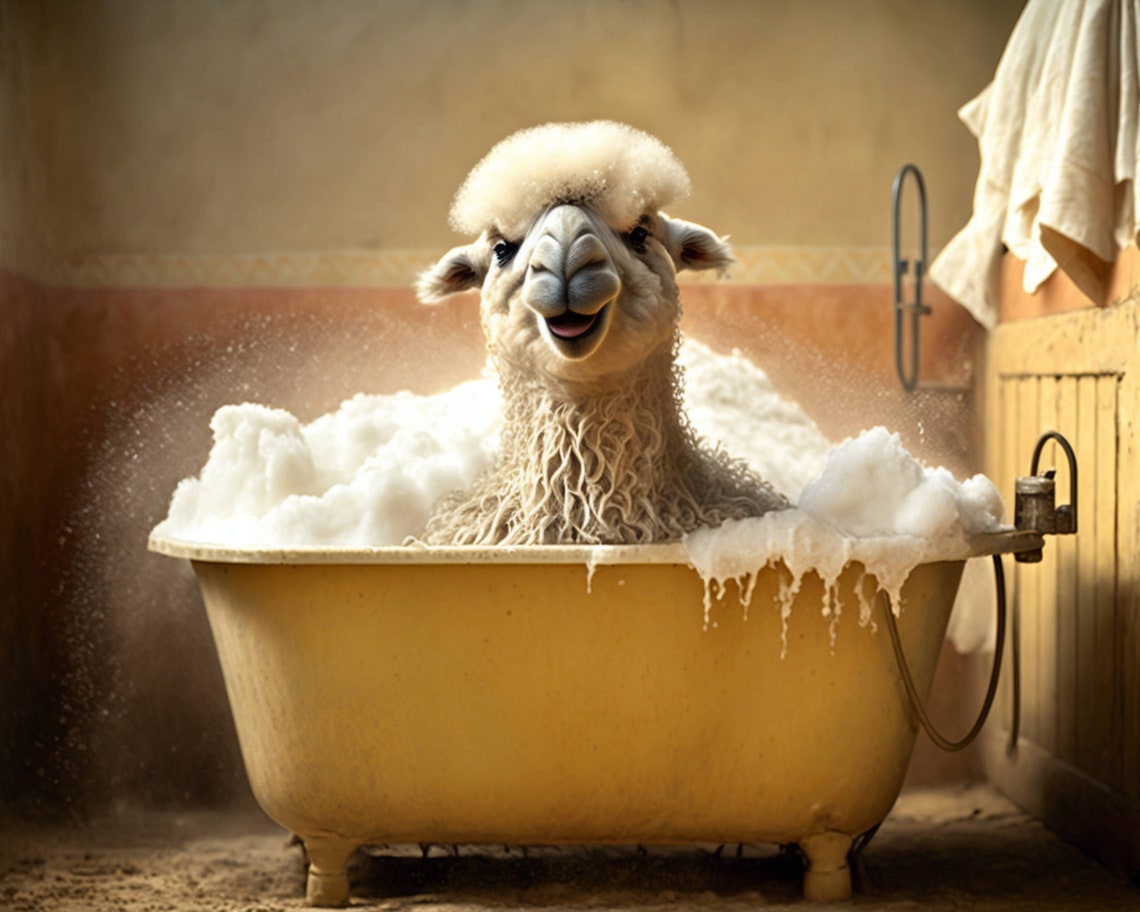 Cute Baby Camel in A Bathtub Wall Art, Camel Bathing, Funny Bathroom ...