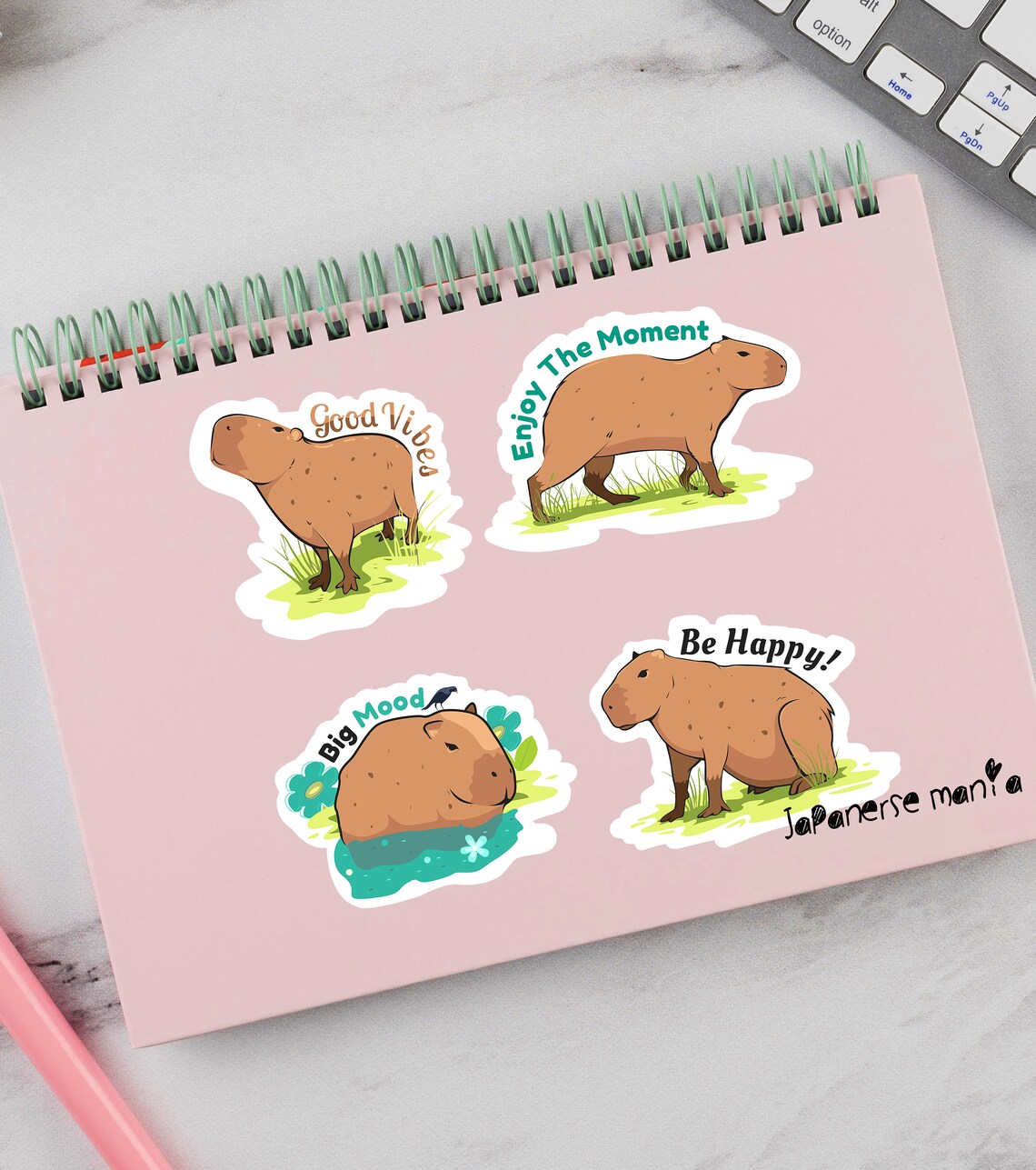 Cute Capybara Sticker Set | Cute Stickers Kawaii Sticker Set - Etsy