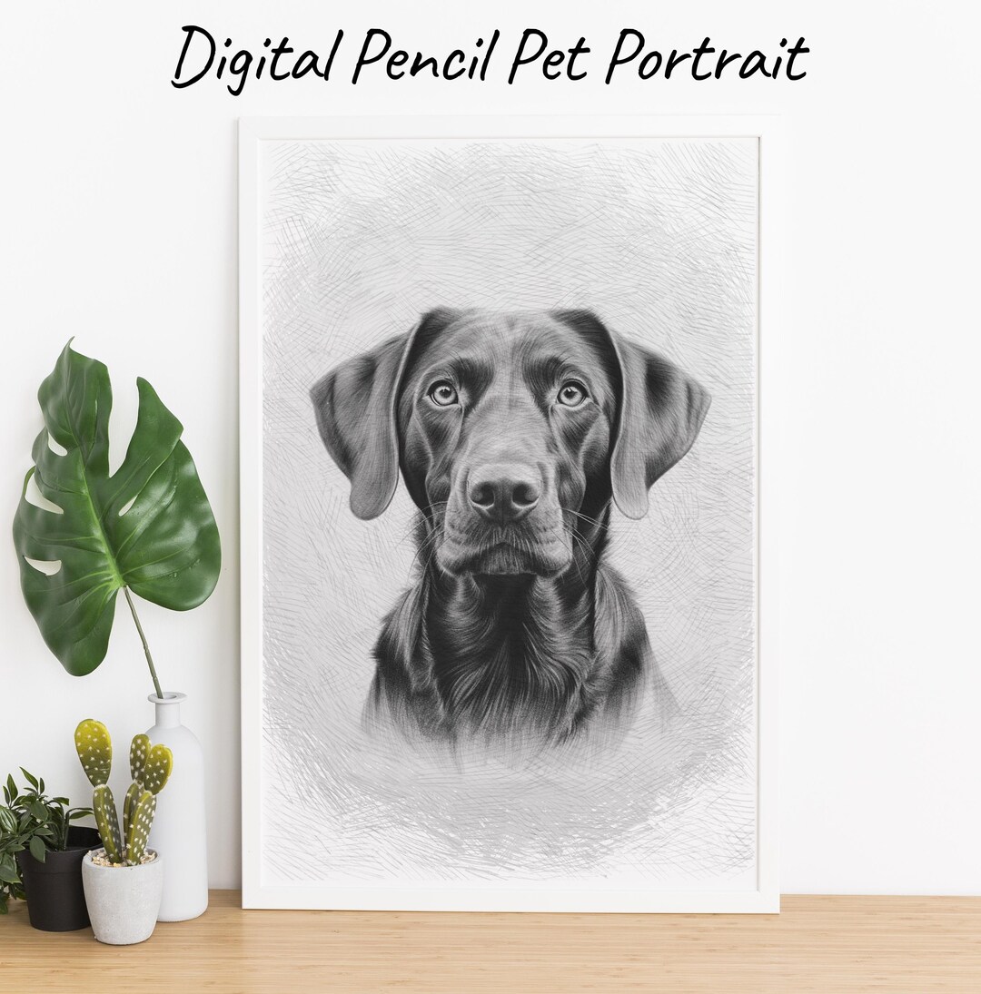 Custom Pencil Pet Portrait, Pencil Dog Portrait, Pencil Pet Drawings ...