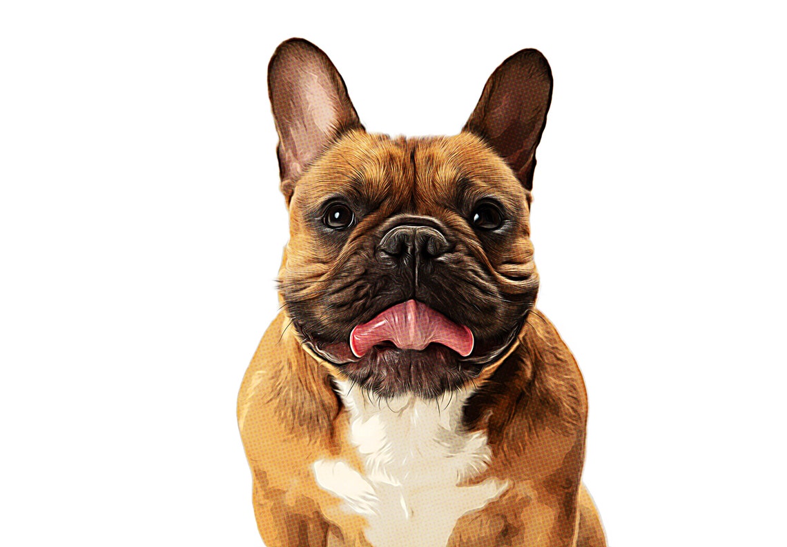 Photoshop Cartoon Filter Photoshop Cartoon Effect Comic Cartoon Photo ...