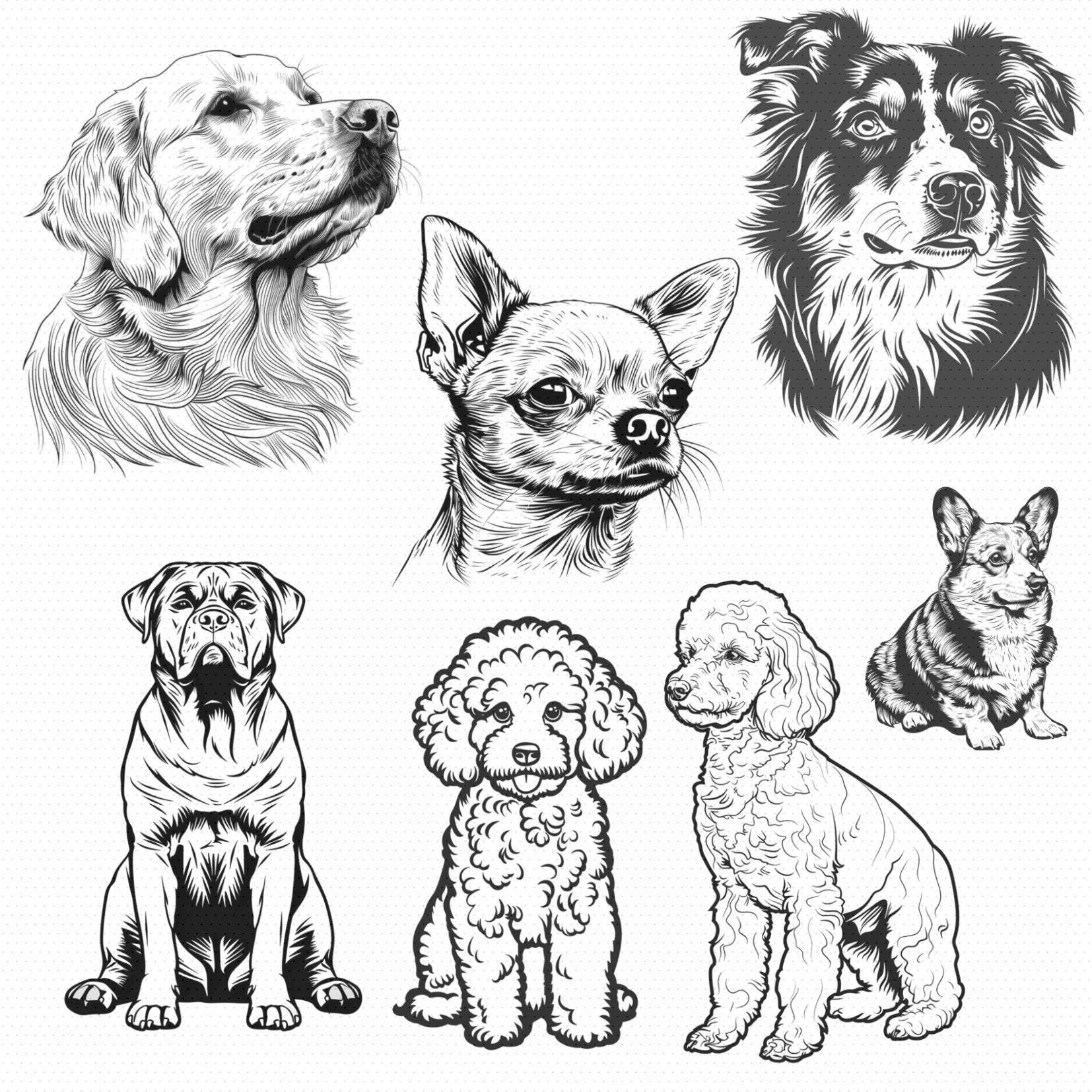 Dog Stamps Bundle: 100 Dog Lineart Png + 25 Photoshop Fur Brushes - Etsy