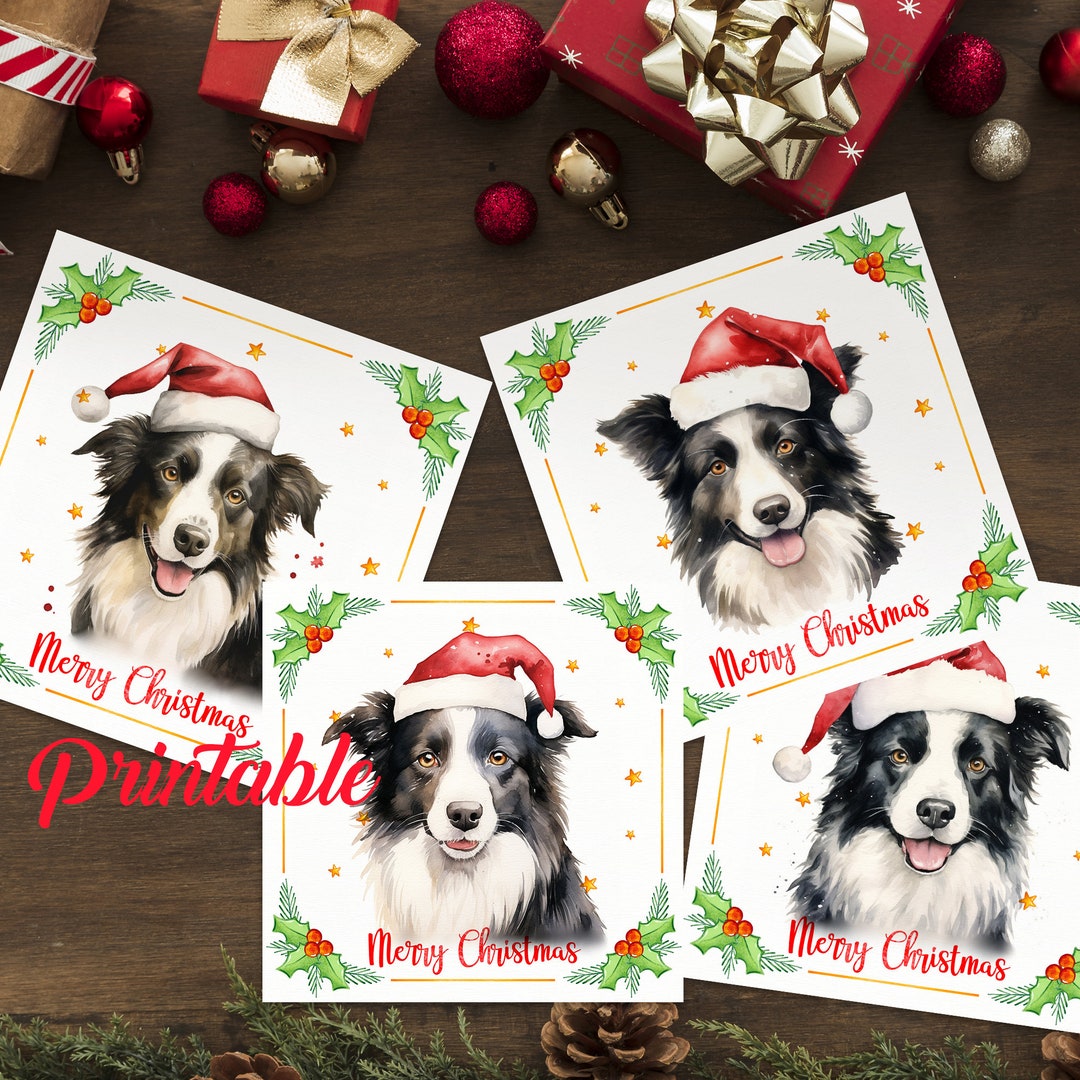 Printable Christmas Border Collie Cards - Christmas Border Collie Card ...