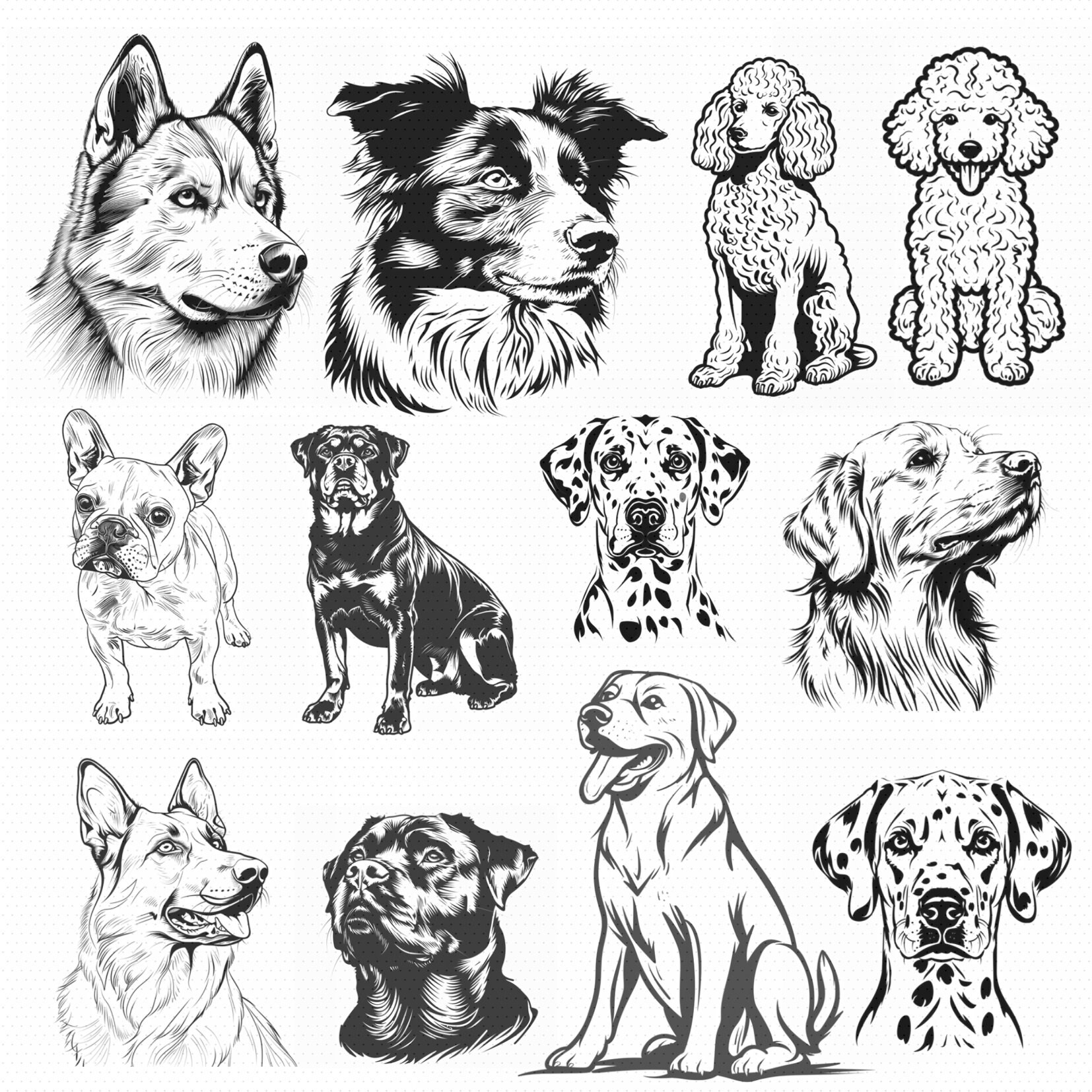 Dog Stamps Bundle: 100 Dog Lineart Png + 25 Photoshop Fur Brushes - Etsy