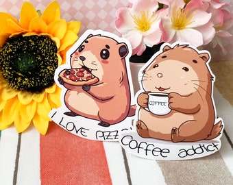 Capybara Sticker, Cute Chibi Capybara, Kawaii Capybara, Large Capybara ...