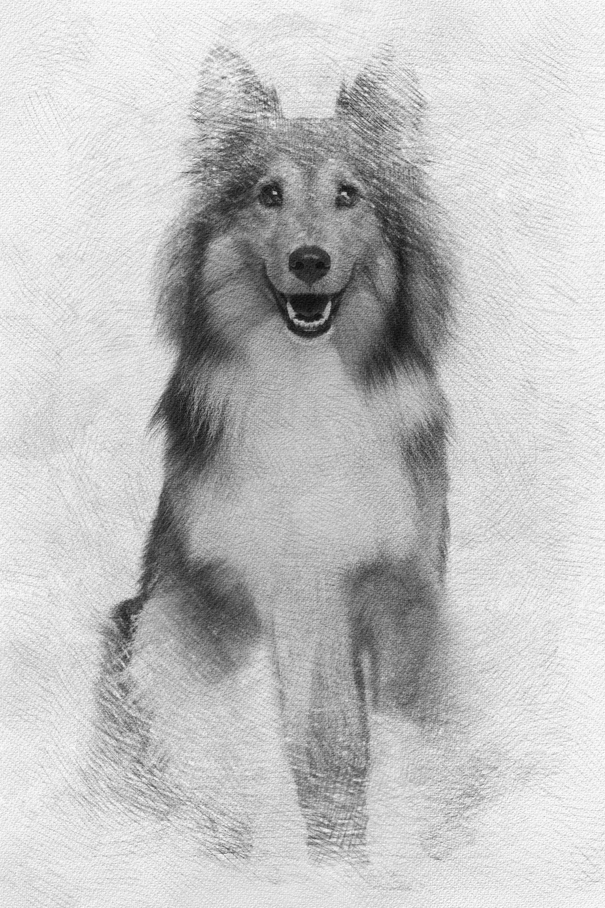 Photoshop Pencil Effect Photoshop Pencil Drawing Filters Photo Pencil ...