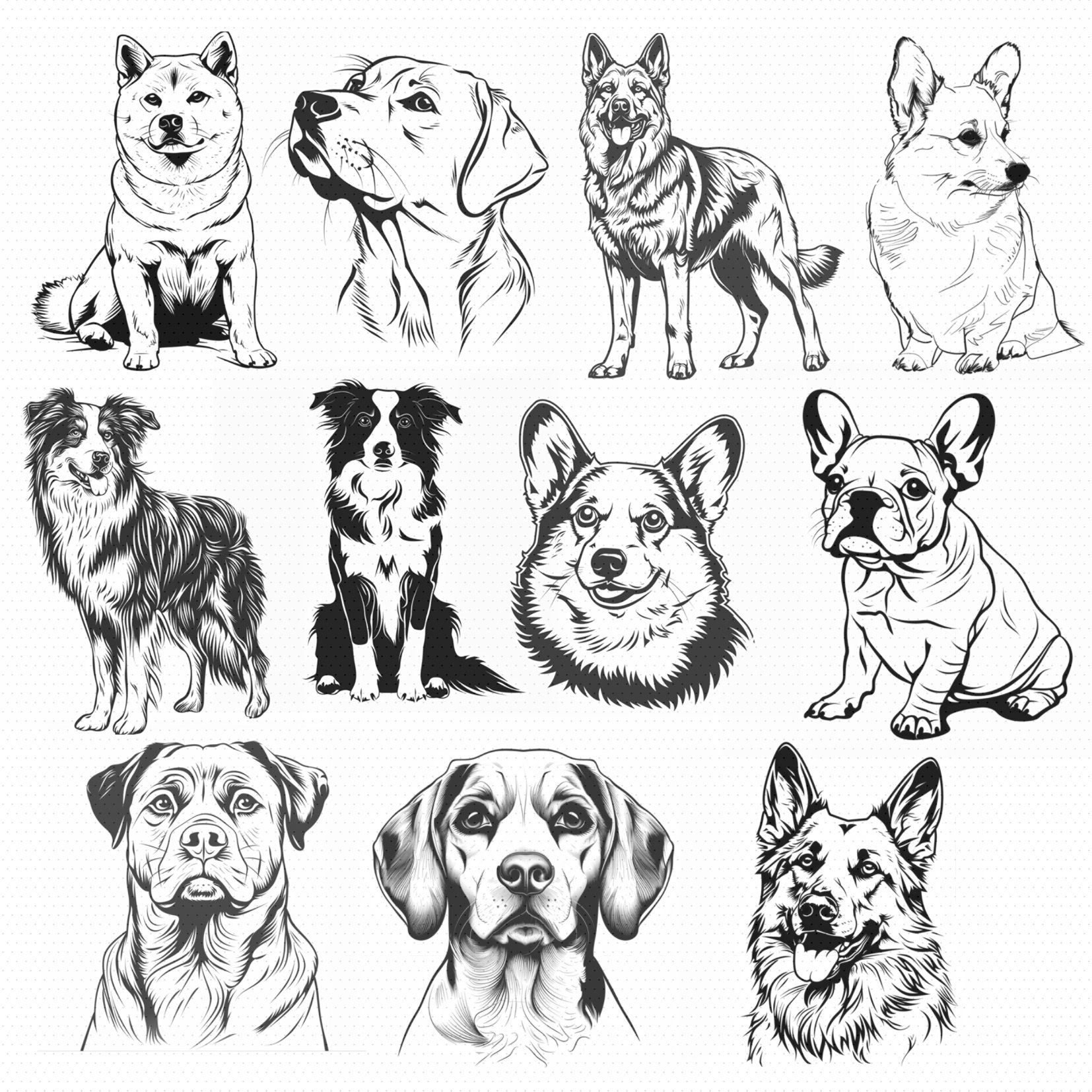Dog Stamps Bundle: 100 Dog Lineart Png + 25 Photoshop Fur Brushes - Etsy