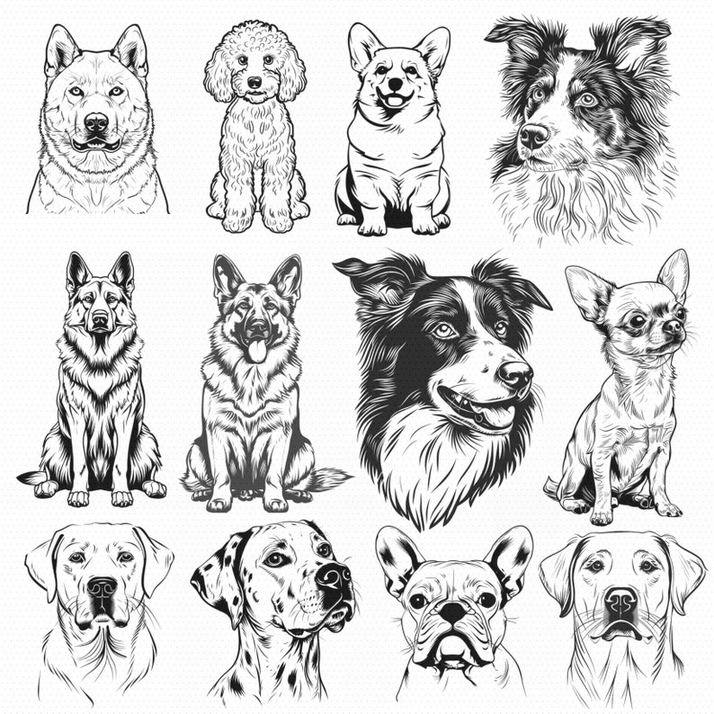 Dog Stamps Bundle: 100 Dog Lineart Png + 25 Photoshop Fur Brushes - Etsy