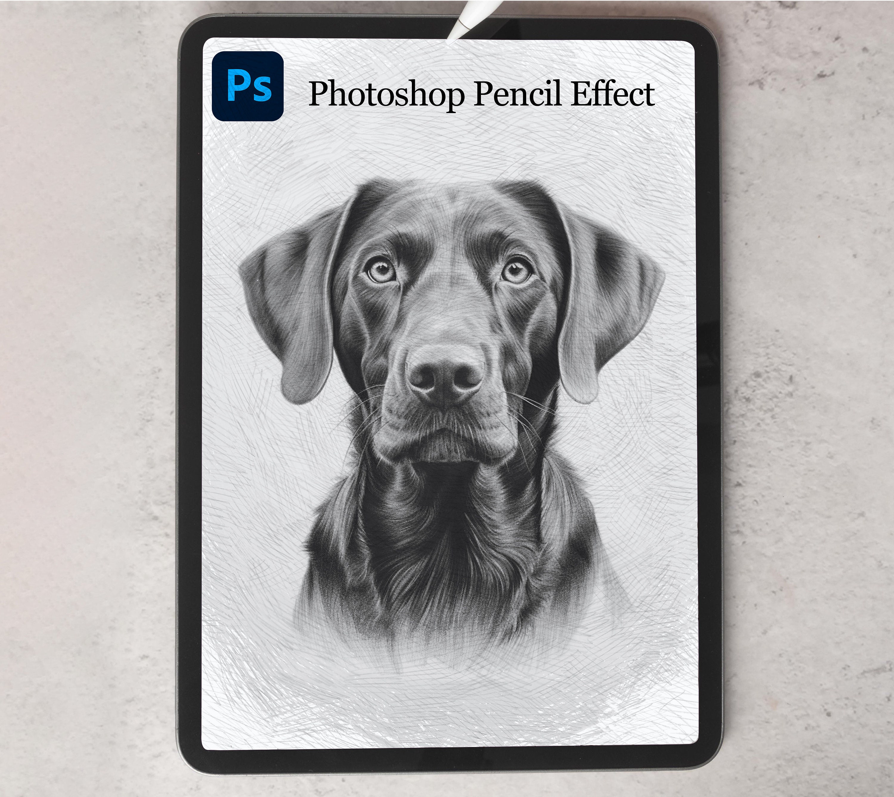 Photoshop Pencil Effect Photoshop Pencil Drawing Filters Photo Pencil ...