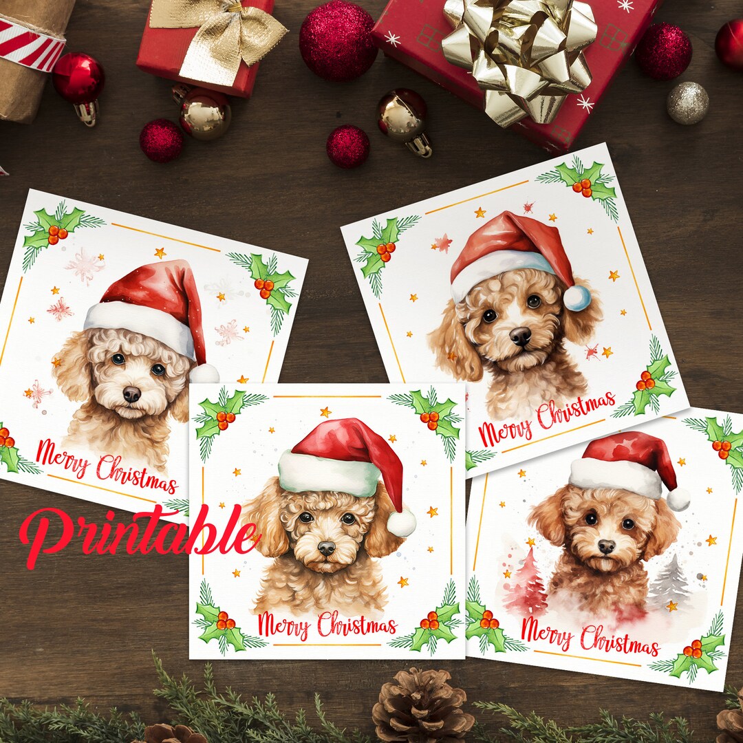 Printable Poodle Dog Christmas Cards Christmas Card Set - Etsy