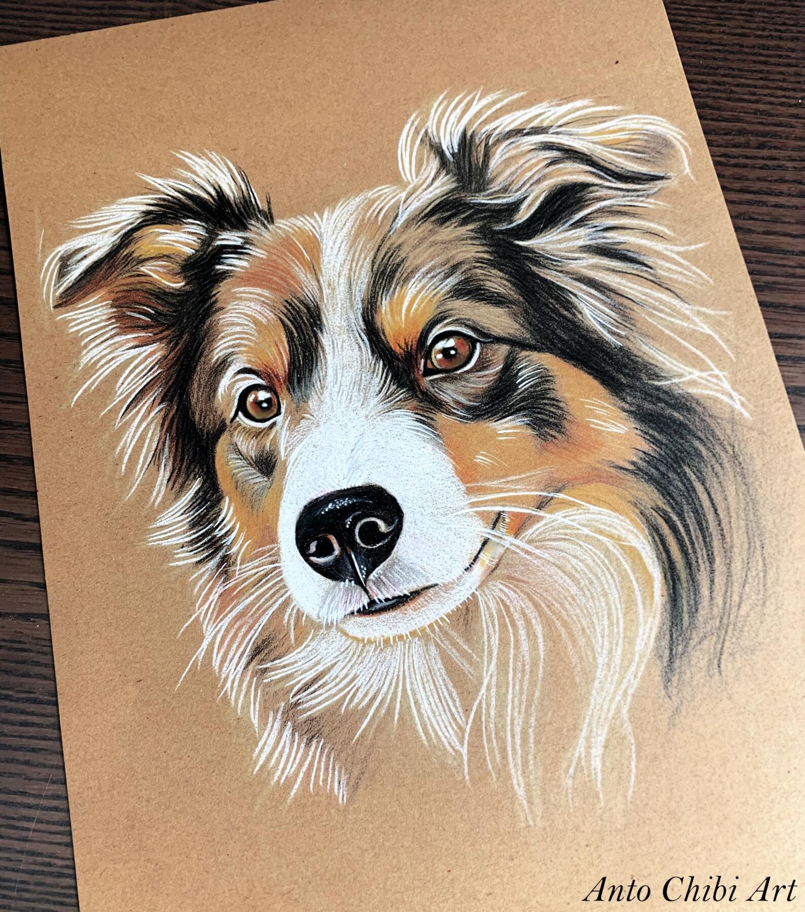 Pencil Aussie Portraits, Hand Drawn Aussie Portrait, Aussie Drawing ...