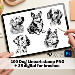 Dog Stamps Bundle: 100 Dog Lineart Png + 25 Photoshop Fur Brushes - Etsy