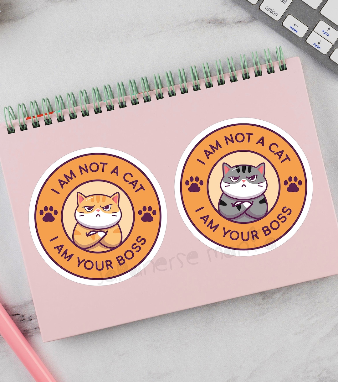 Funny Cat Stickers - Meme Cat Sticker - Boss Cat Sticker - Etsy