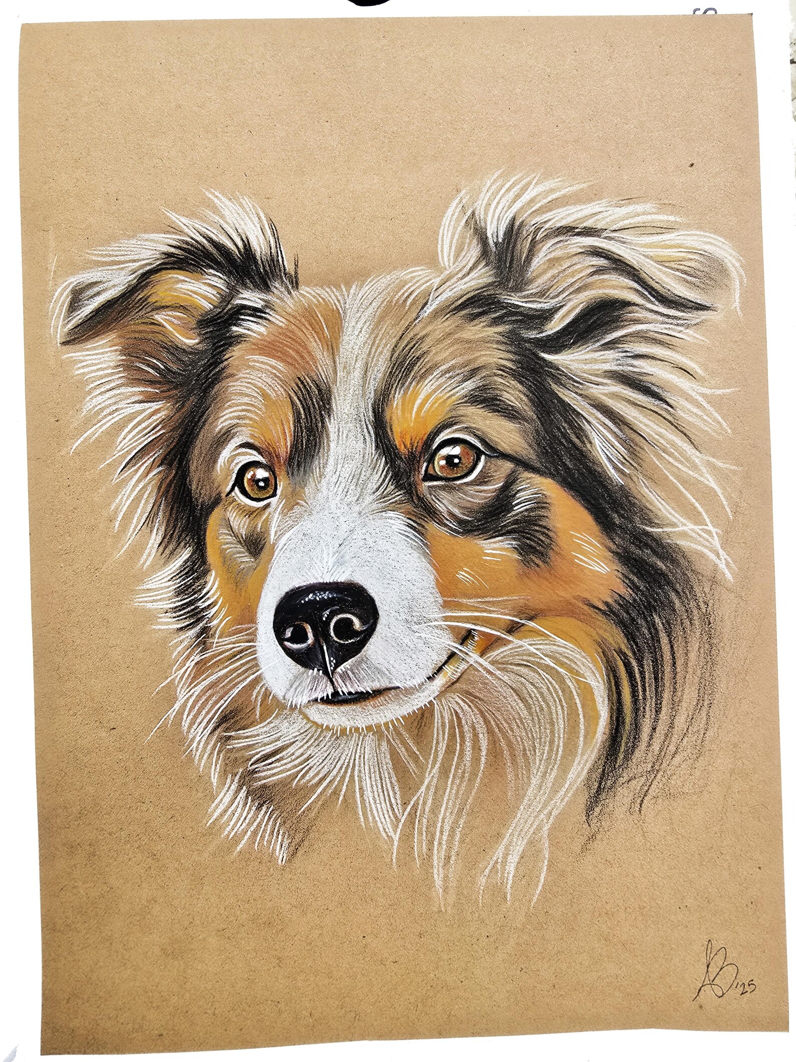 Pencil Aussie Portraits, Hand Drawn Aussie Portrait, Aussie Drawing ...