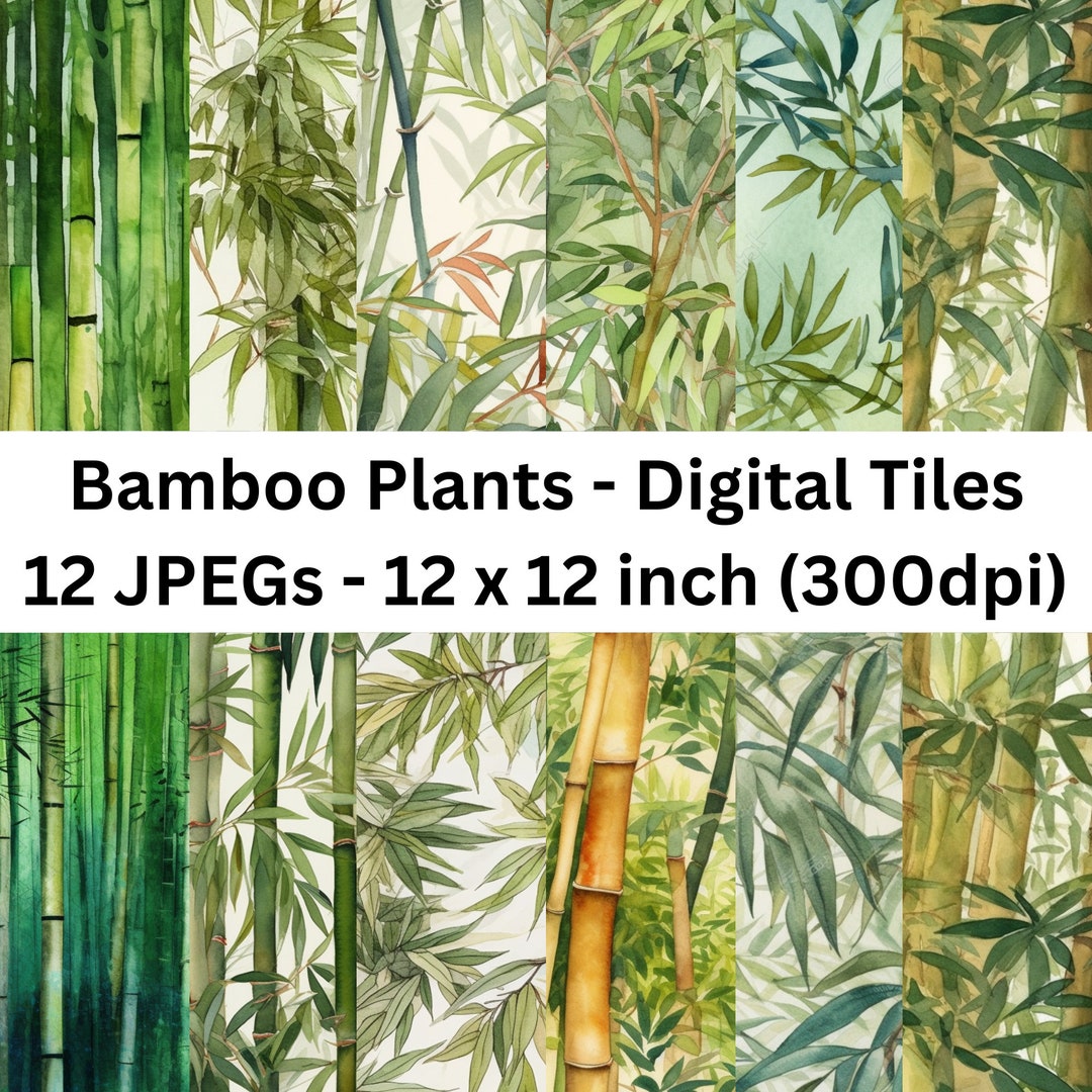 12 Watercolour Bamboo Plants Seamless Digital Tile Pattern Bamboo ...