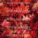 12 Watercolour Maple Leaves Digital Tile Pattern Leaf Print for ...