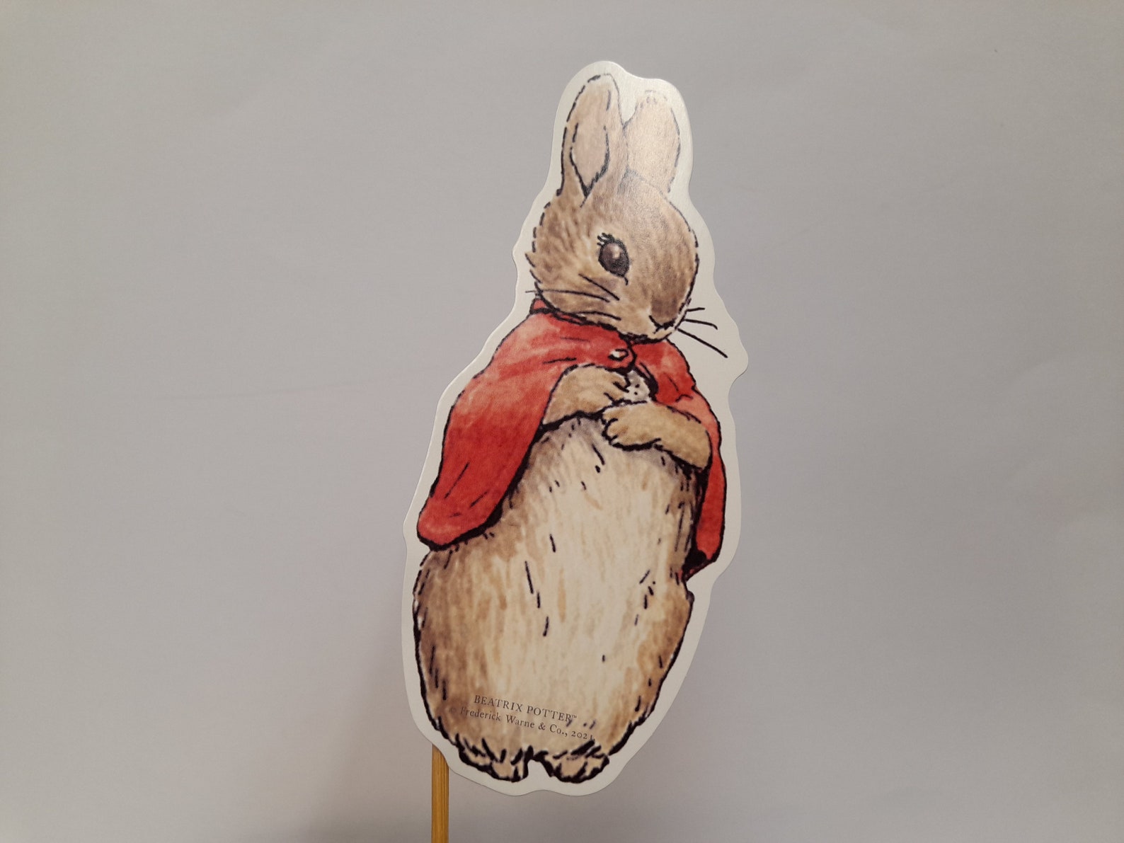 Peter Rabbit Large Photo Props Featuring Peter Rabbit, Flopsy Bunny ...