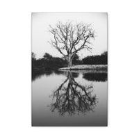 Reflection Trees - Etsy