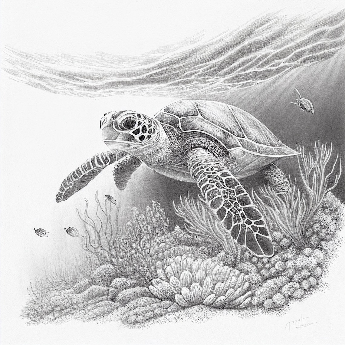 Realistic Sketch of a Majestic Sea Turtle Swimming Over a Coral Reef - Etsy