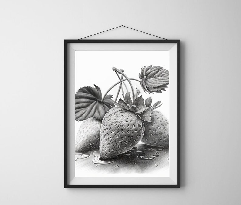 Hyper-realistic Pencil Sketch of Strawberries black and White - Etsy