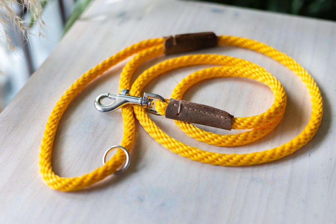 Dog Lead/premium/rope Dog Leash/8mm Polypropylene Walking-training ...