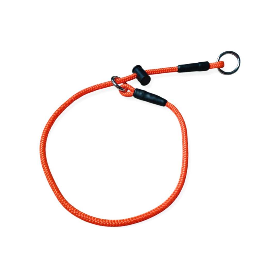 Slip Dog Training Collar, Choke Collar - 6mm PP Strong Rope, Snug ...