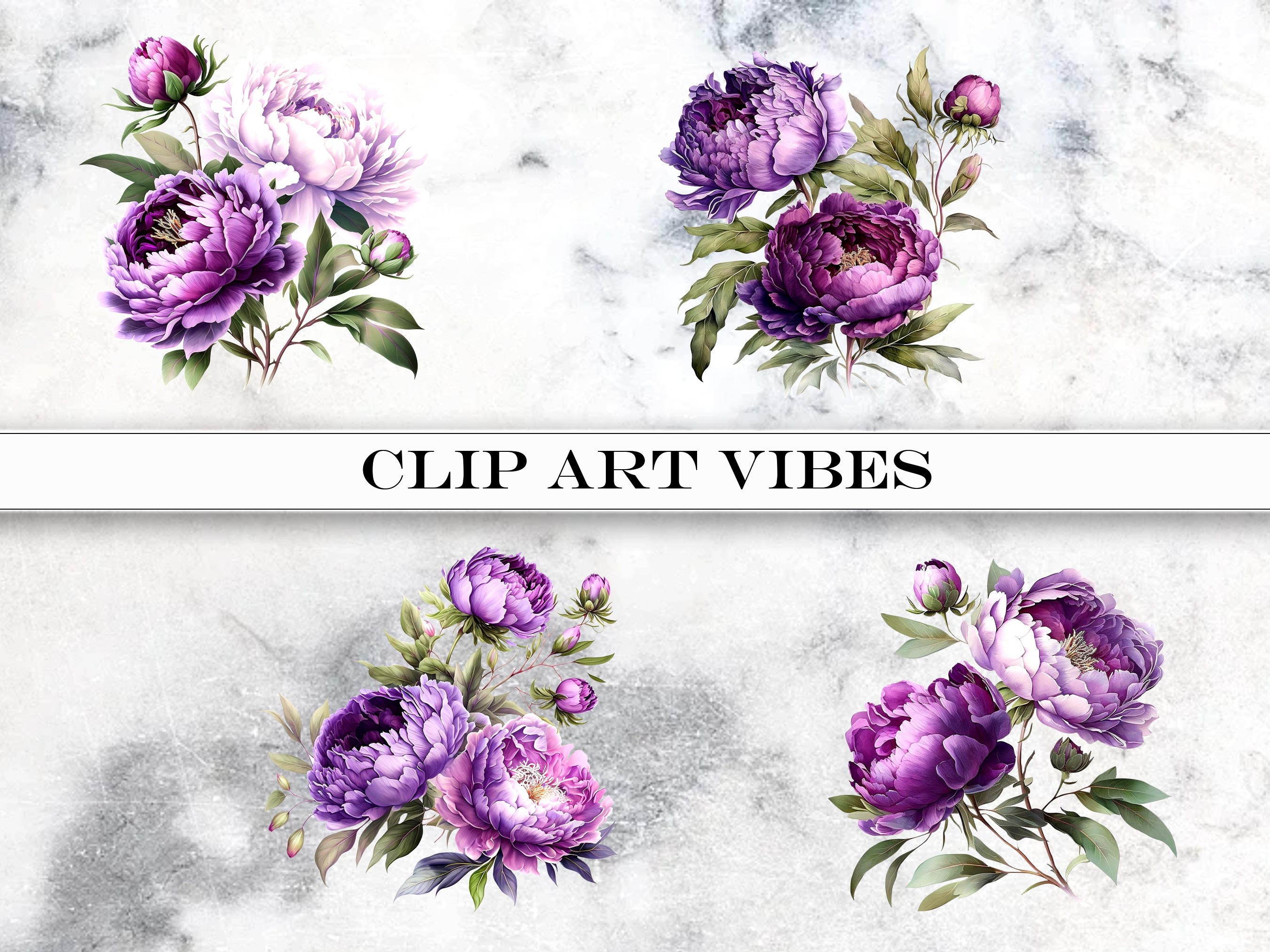 Purple Peonies Clipart Watercolor Flowers PNG Peonies - Etsy