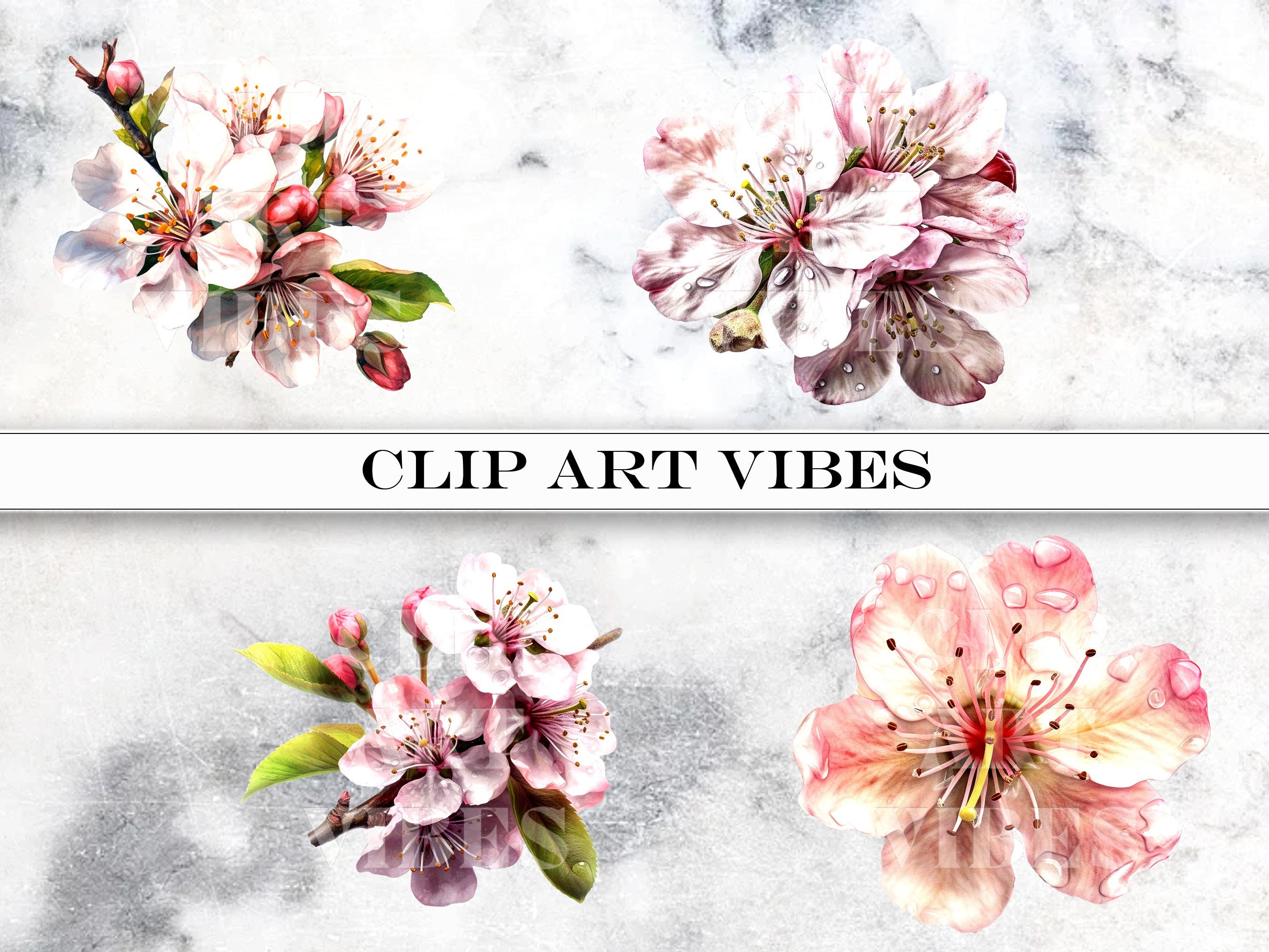 13 PNG Cherry Blossom Clipart Bundle, Watercolor Flowers PNG, Cherry ...