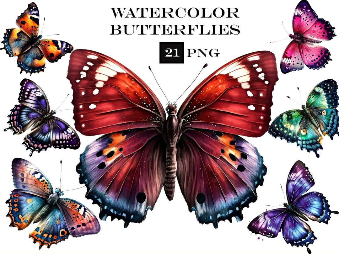 Watercolor Butterflies Clipart, Butterfly PNG, Colorful Butterfly ...