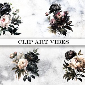 Black Peonies Clipart Watercolor Flowers PNG Peonies - Etsy