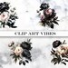 Black Peonies Clipart Watercolor Flowers PNG Peonies - Etsy