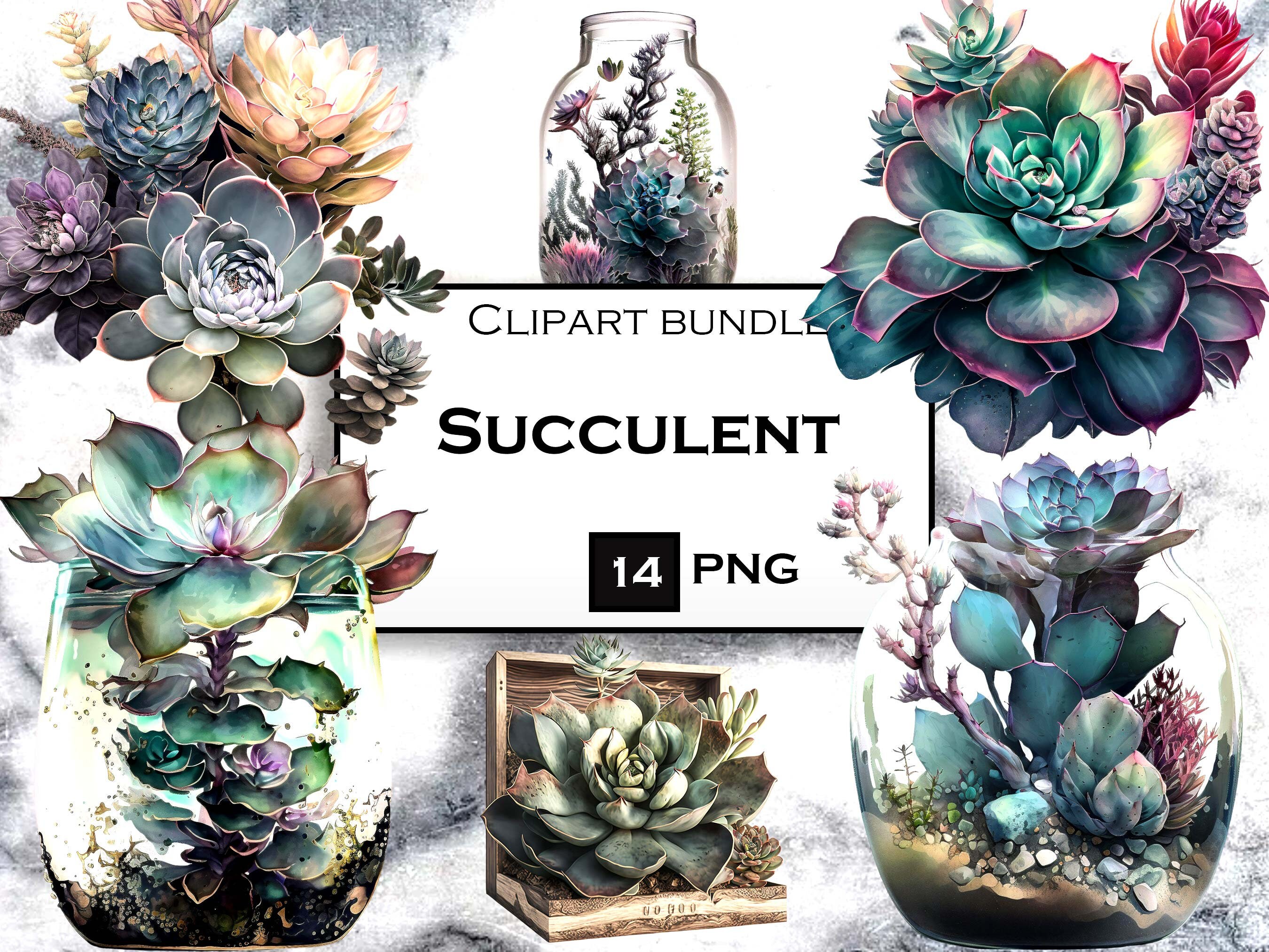 14 PNG Succulent Clipart Bundle Succulent SVG Floral Clip - Etsy