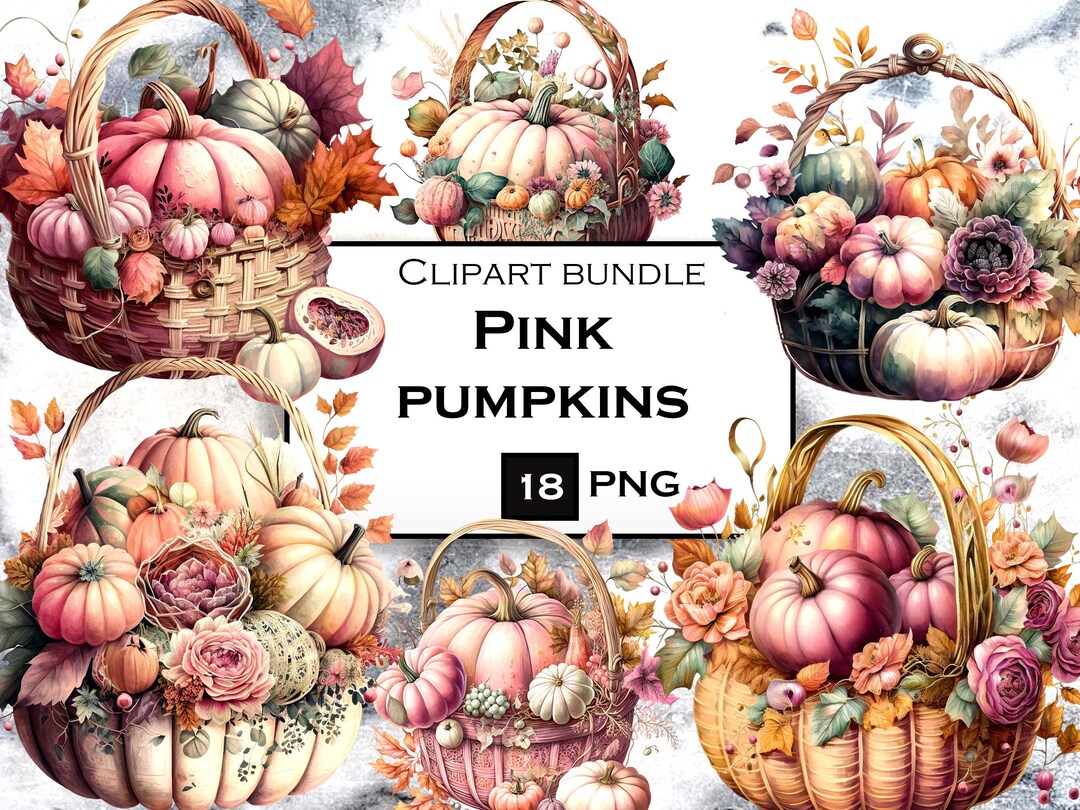 Pink Pumpkin Clipart Bundle Pumpkin PNG Farmhouse PNG Clip - Etsy