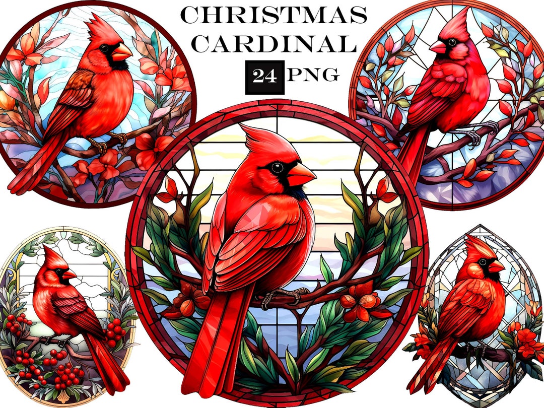 24 PNG Red Cardinal Clipart Bundle, Christmas Cardinal Clipart PNG ...