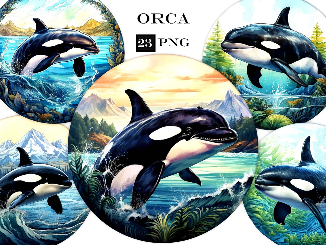 Orca PNG Clipat Bundle, Dolphin PNG Clipart, Under the Sea SVG, Ocean ...