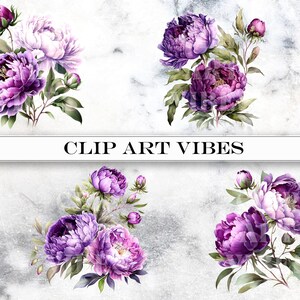 Purple Peonies Clipart, Watercolor Flowers PNG, Peonies Clipart ...
