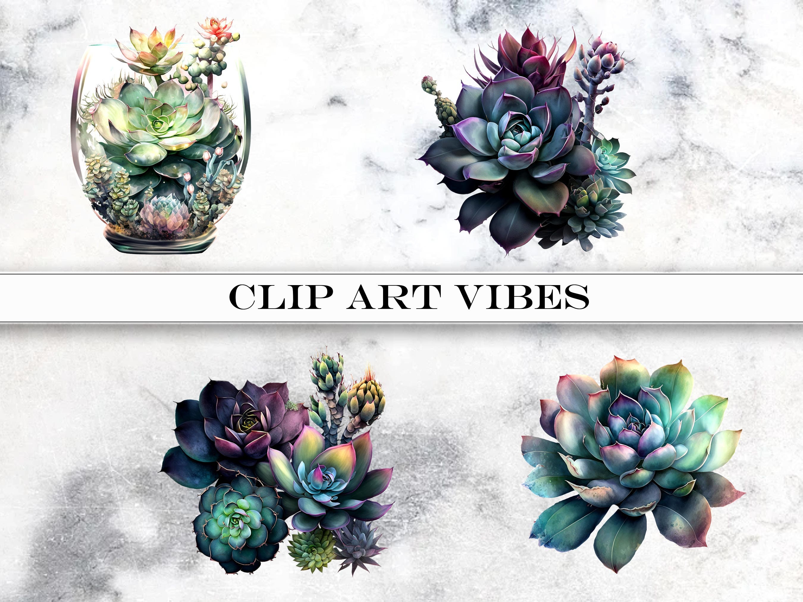 14 PNG Succulent Clipart Bundle Succulent SVG Floral Clip - Etsy